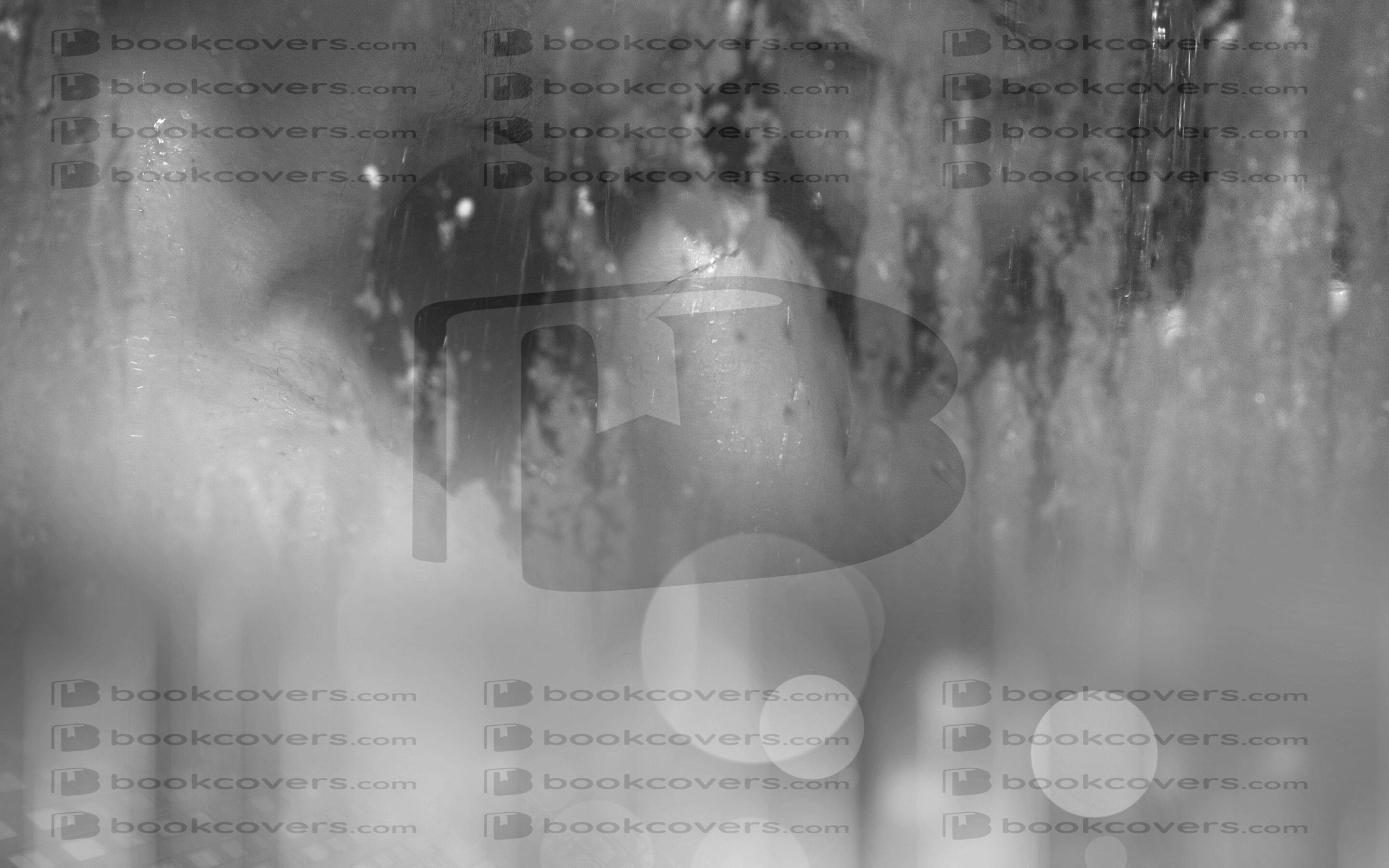 andrewgraphics_26330040 | BookCovers.com