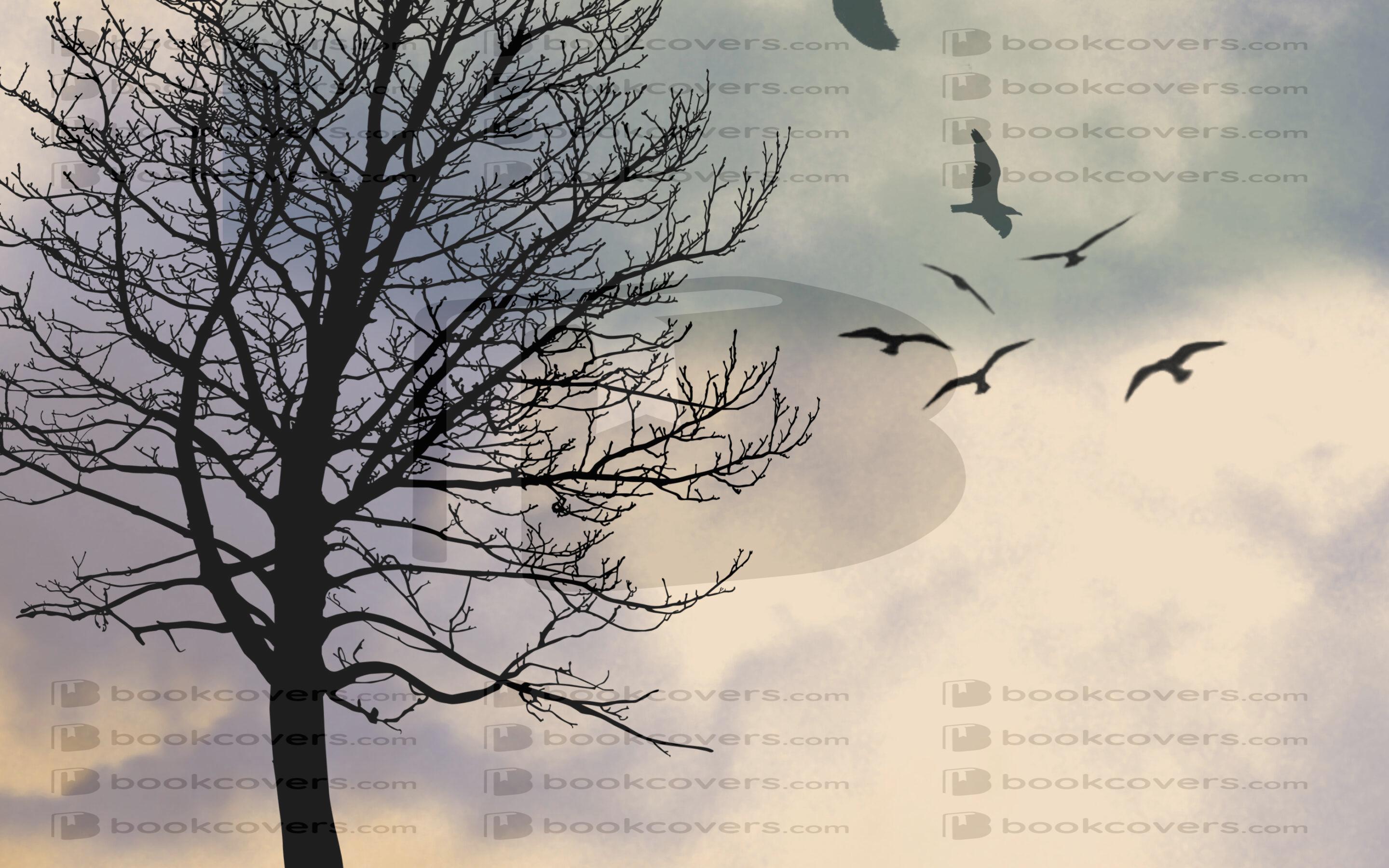zendesign_26096874 | BookCovers.com
