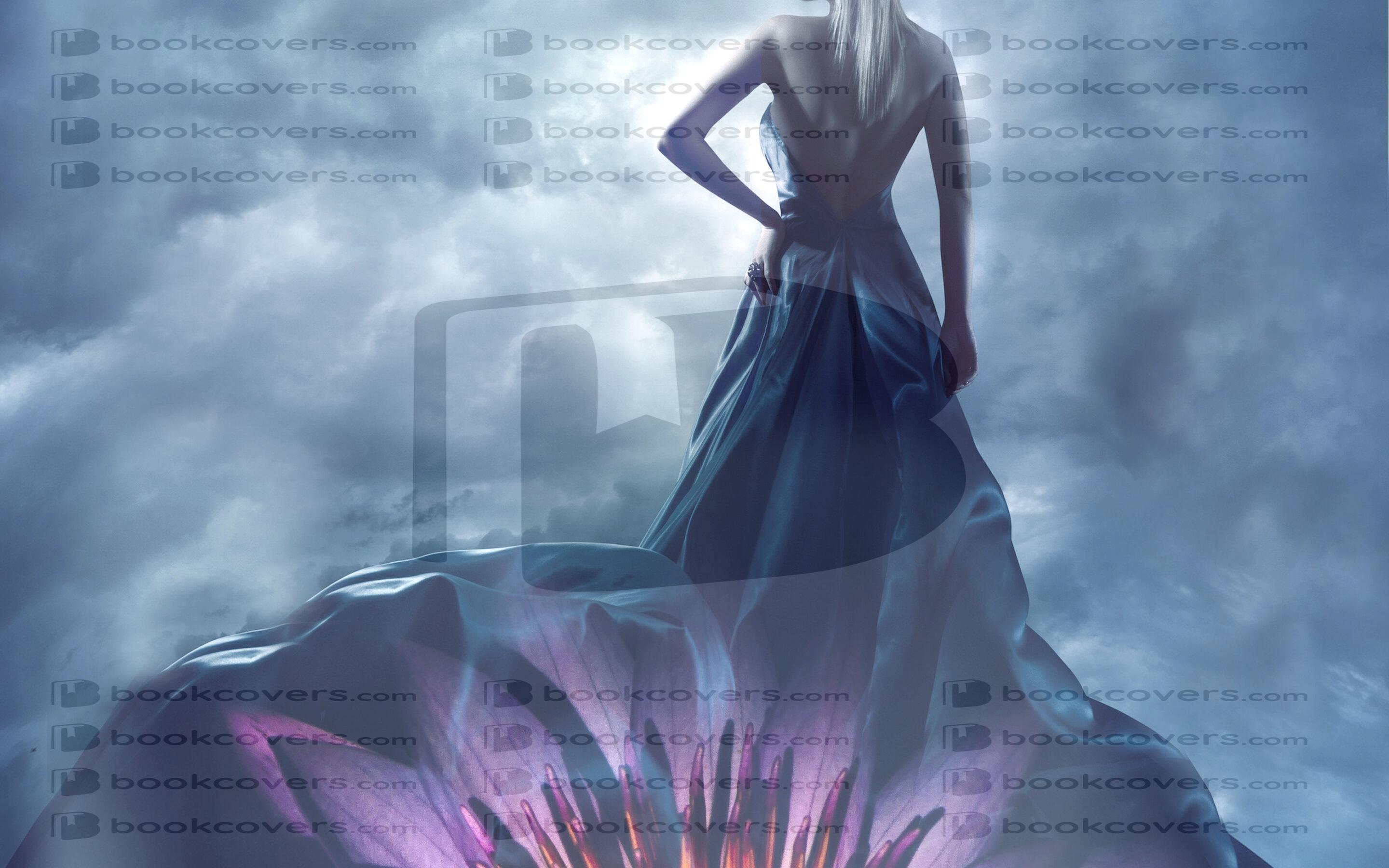 zendesign_26097294 | BookCovers.com