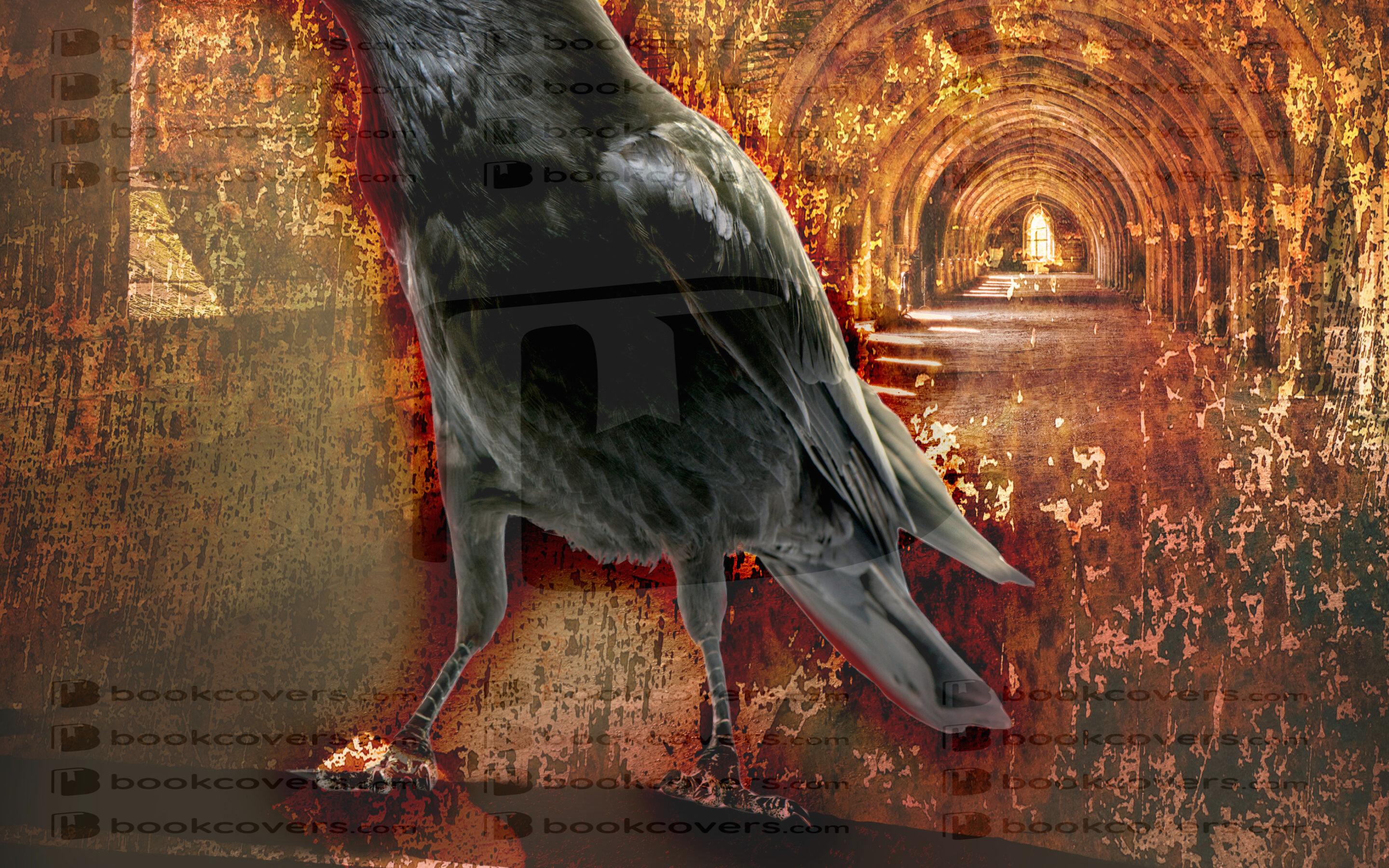 zendesign_26097663 | BookCovers.com