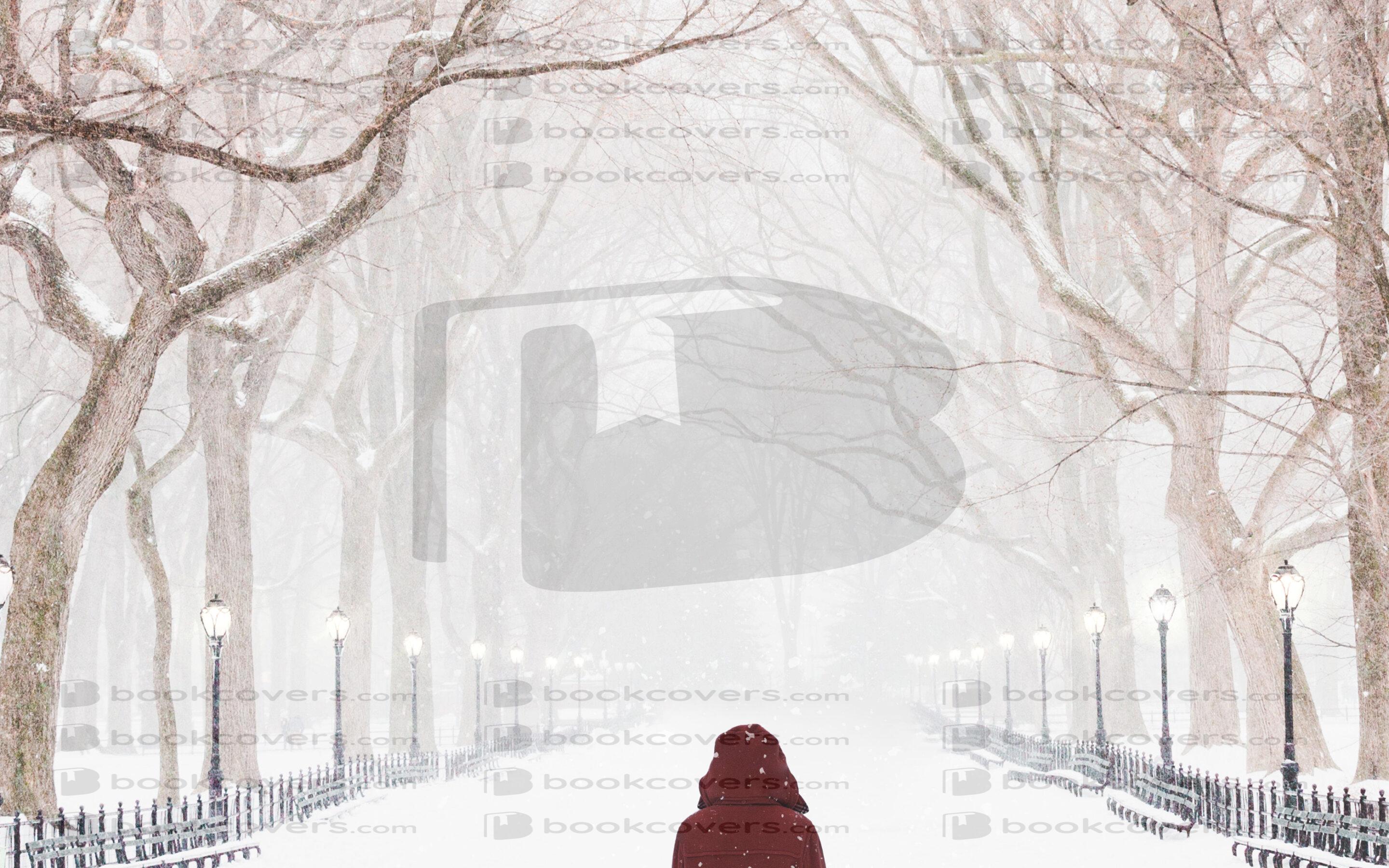 zendesign_26101413 | BookCovers.com