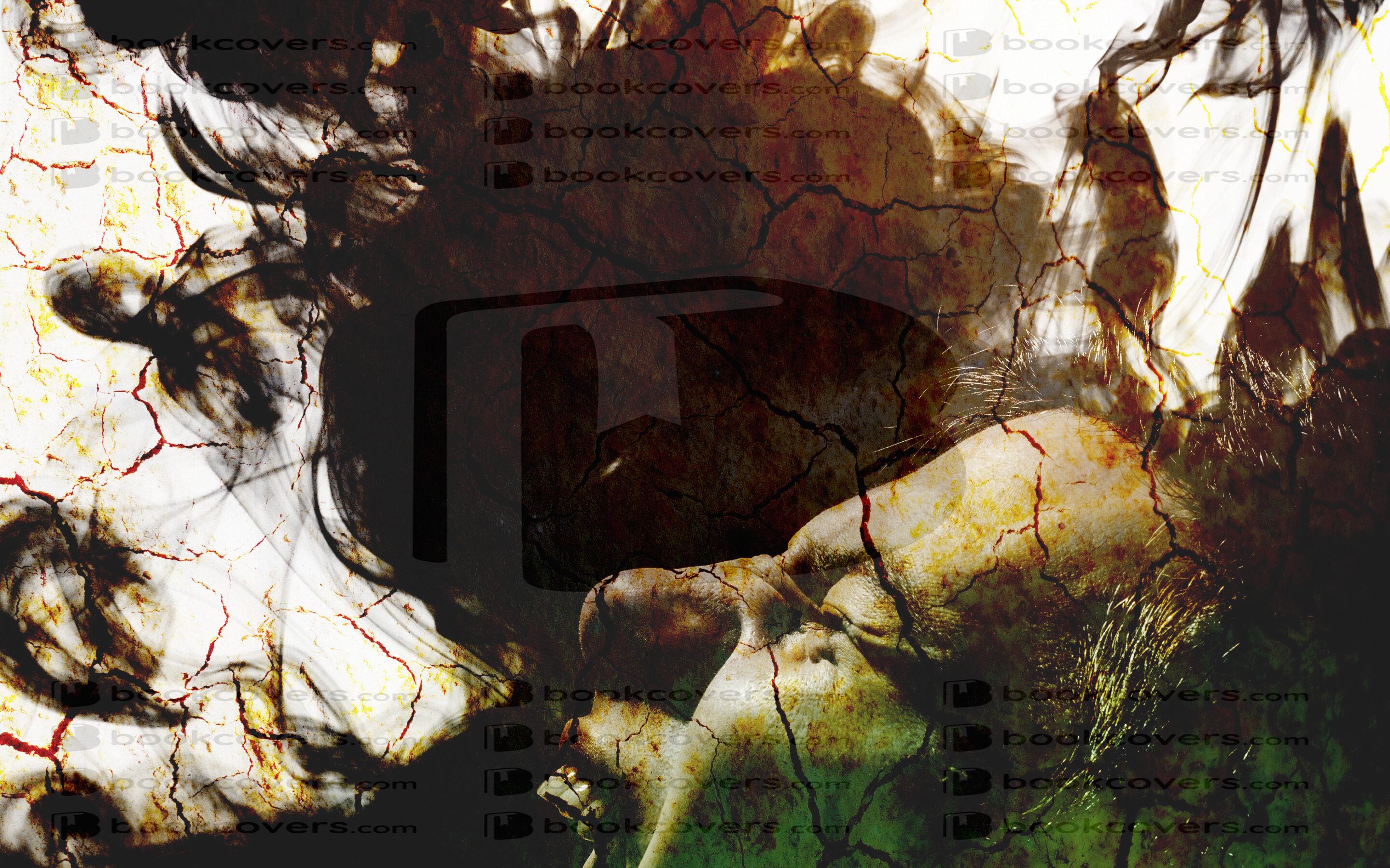 zendesign_26101762 | BookCovers.com