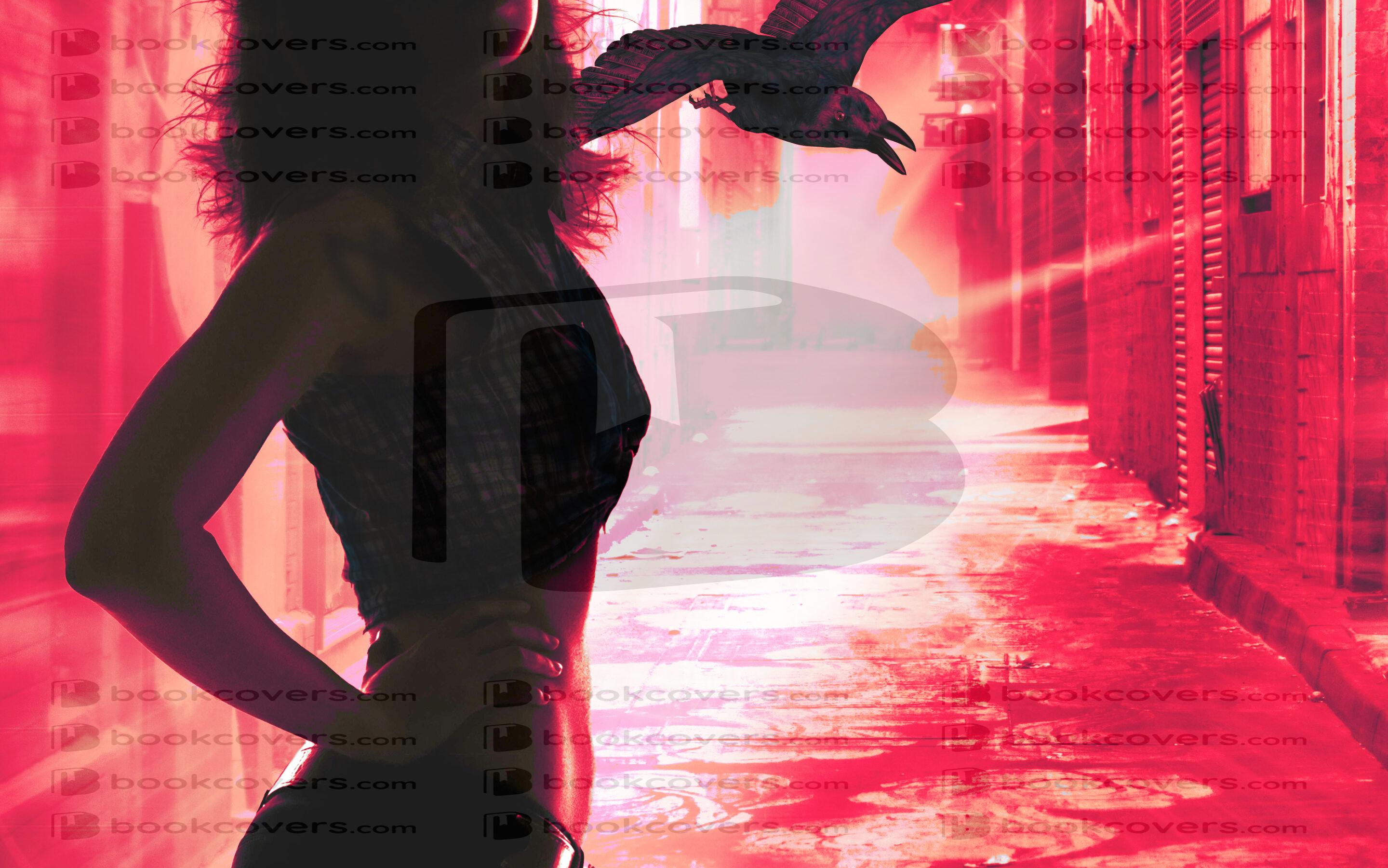 zendesign_26102092 | BookCovers.com