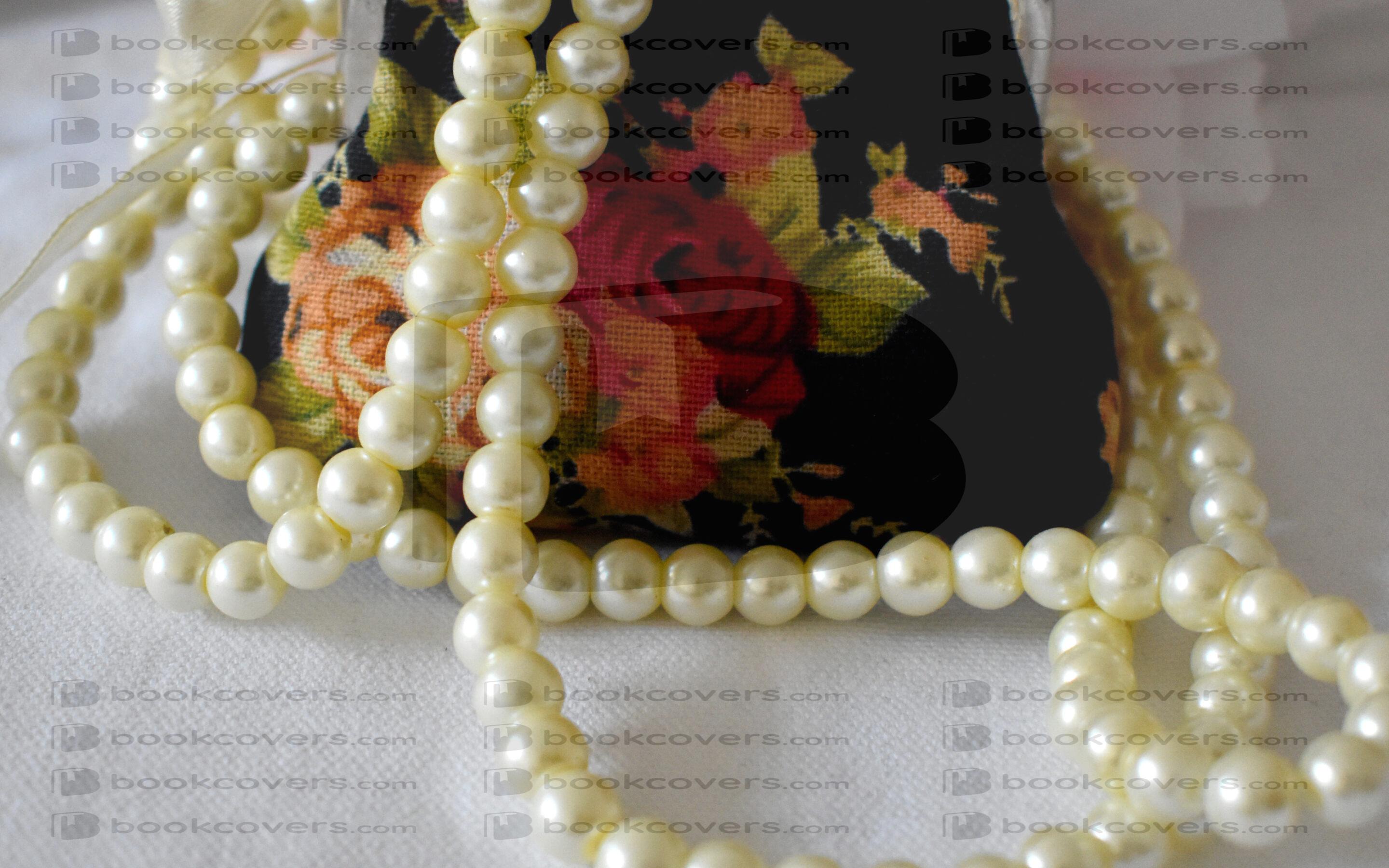 mu-designs_26128349 | BookCovers.com
