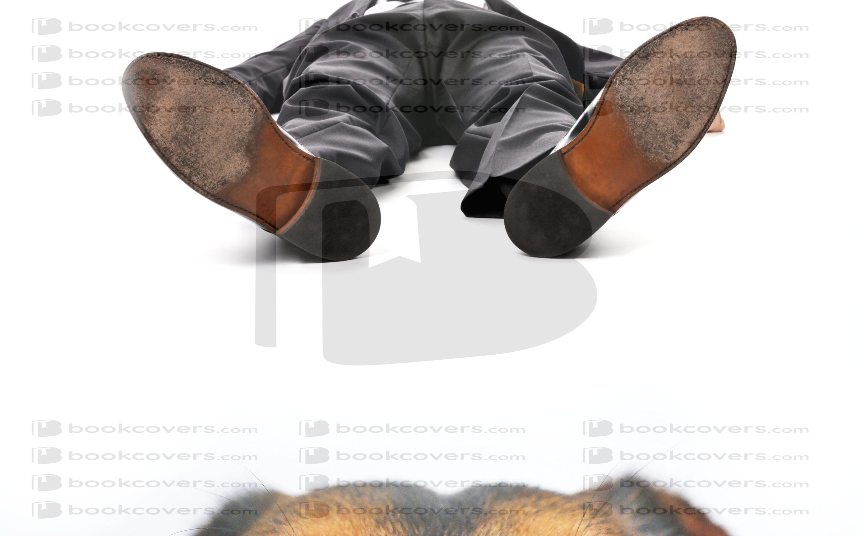mu-designs_26130763 | BookCovers.com