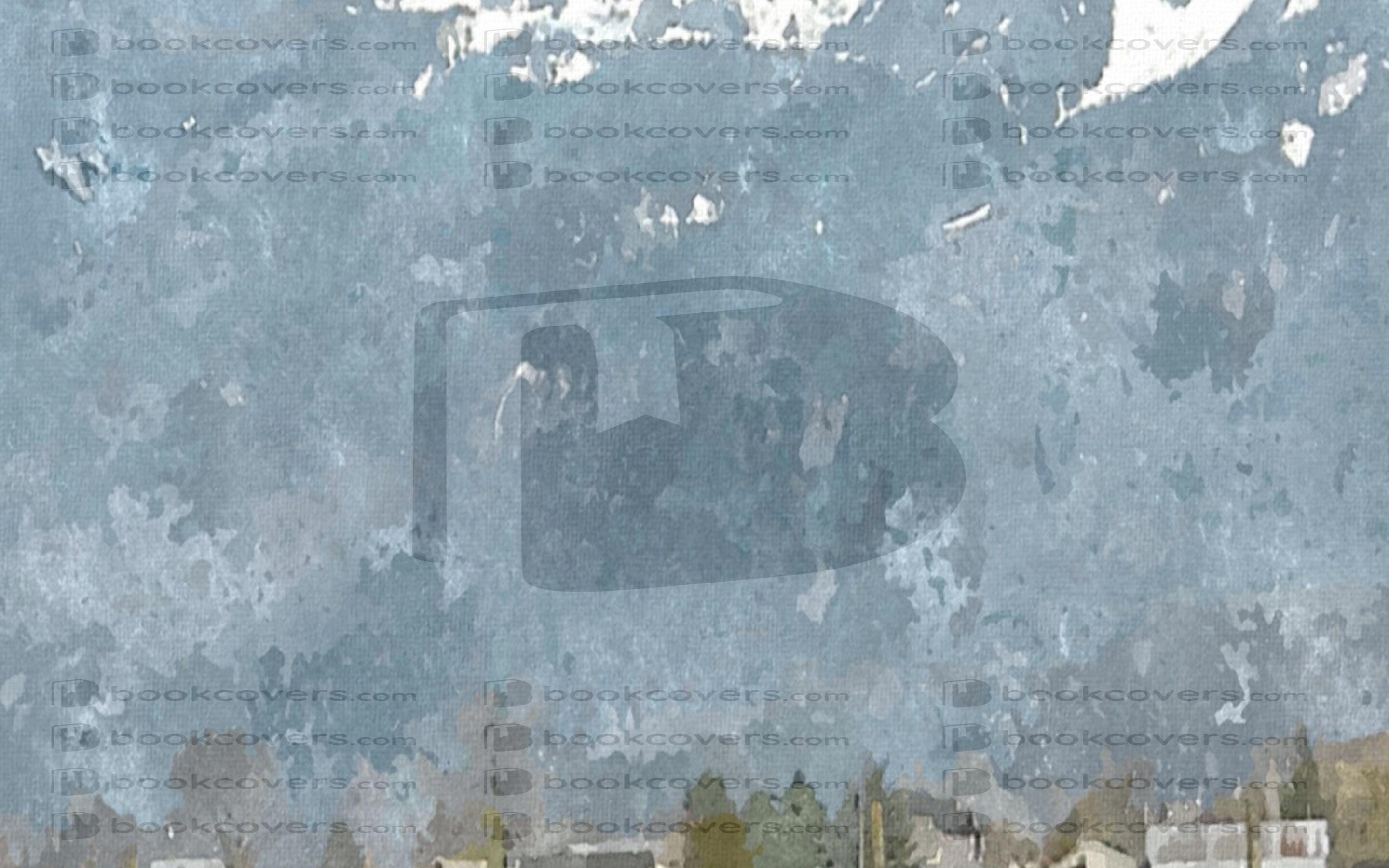 ray-ell_26167373 - BookCovers.com