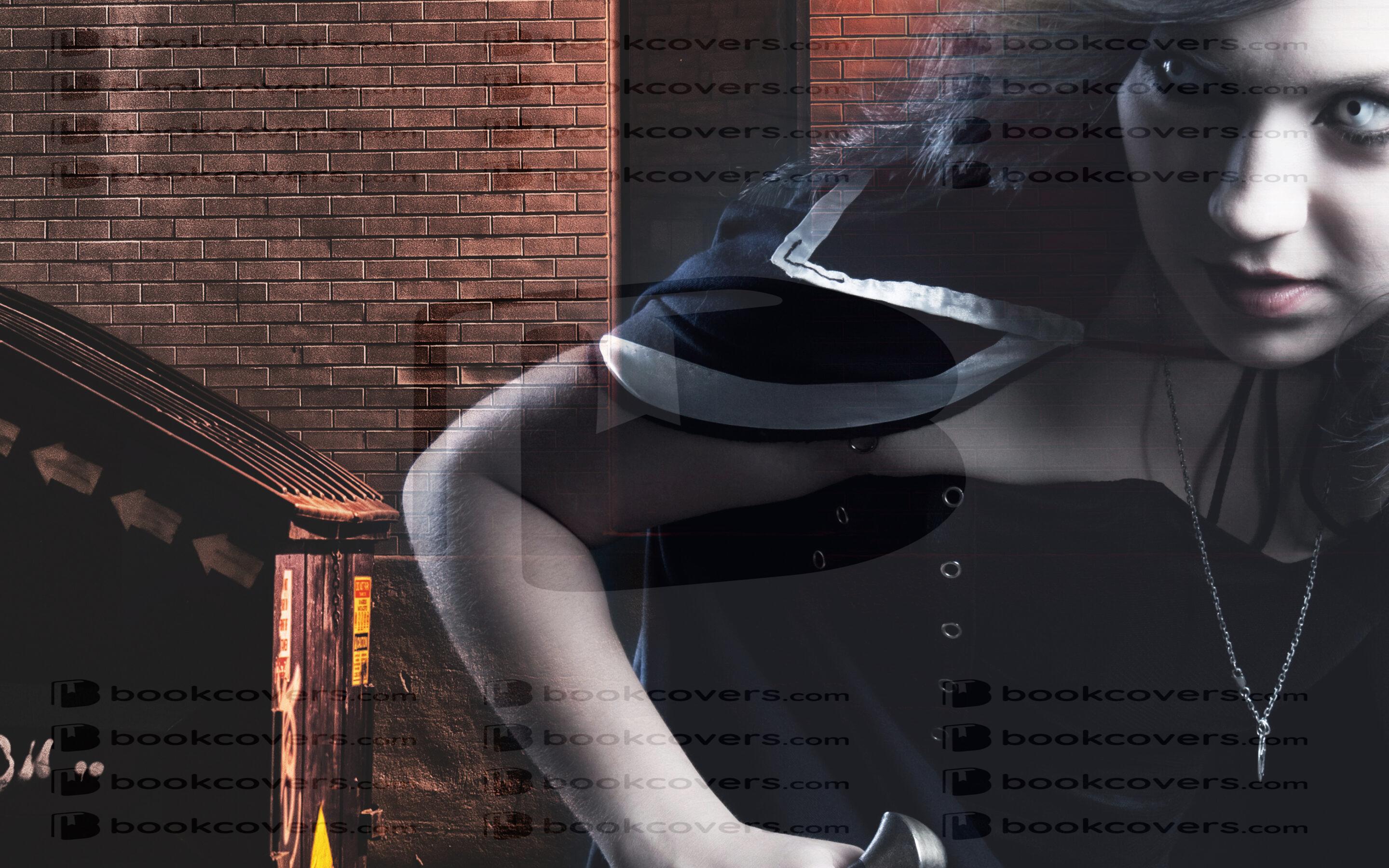 shardel_26168172 - BookCovers.com