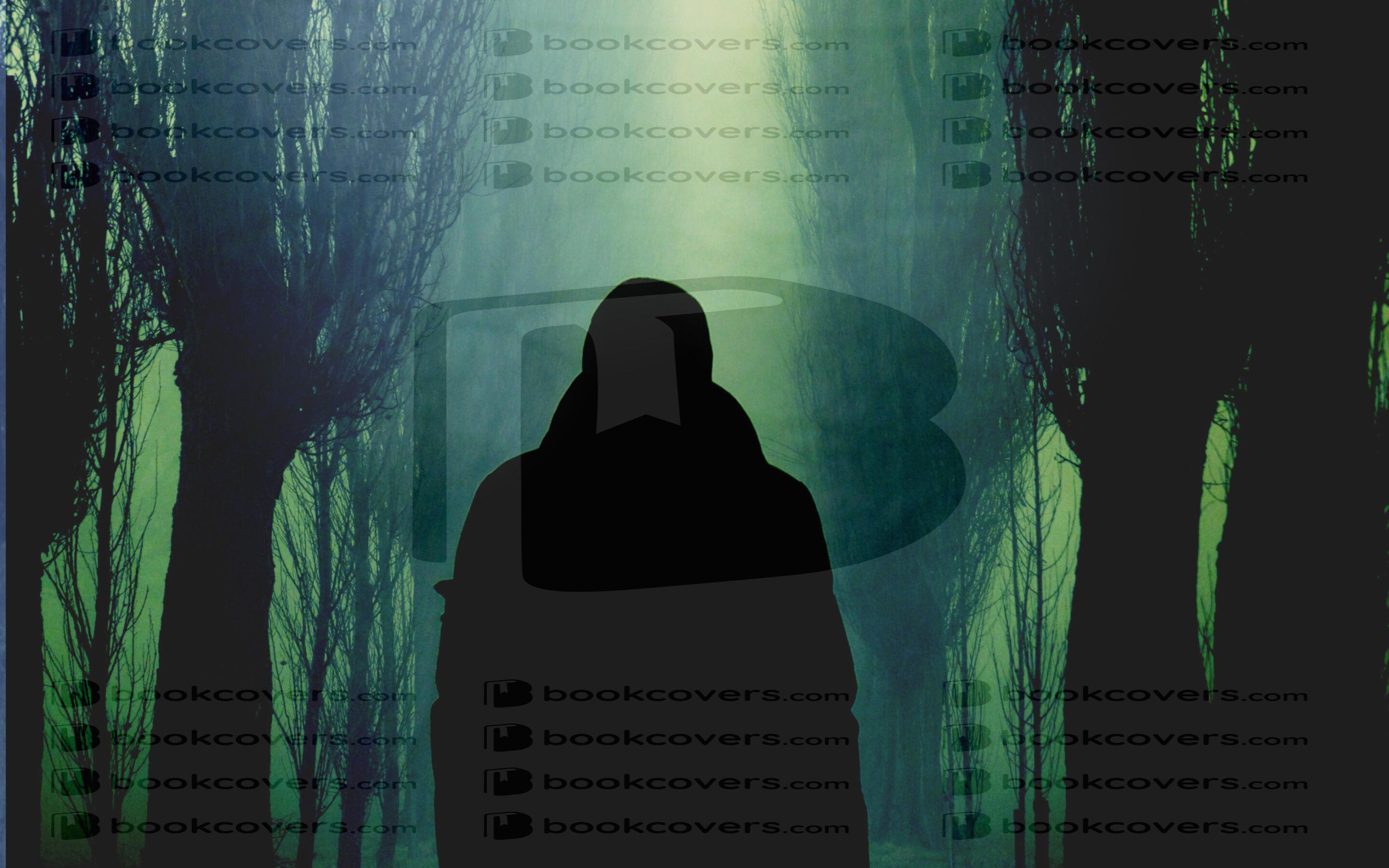 shardel_26170324 | BookCovers.com