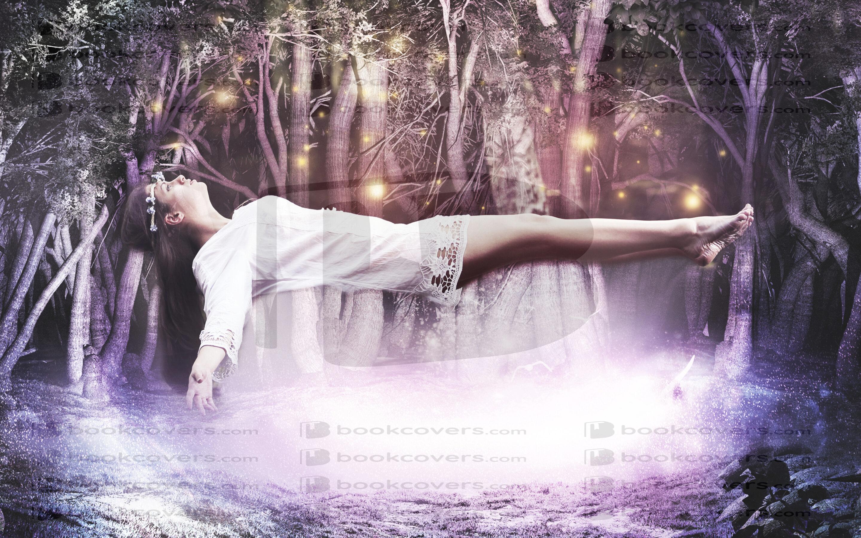 shardel_26167444 - BookCovers.com